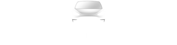 Tesla Full Self-Driving in Europa: In welchen Ländern ist FSD bereits ...
